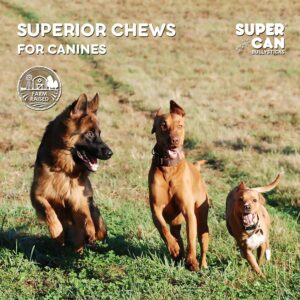 Super Can Pig Ears Slivers for Dogs 1LB - All Natural Dog Chews - Long Lasting Treats Small Medium Large Dogs - Rawhide Free & High Protein - Low Fat, Odor Free, Grain Free - Supports Dental Health