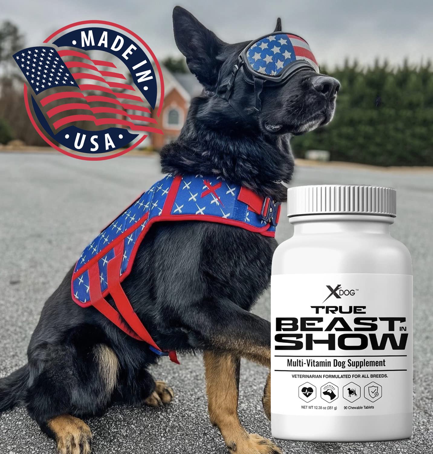 True Beast in Show Muscle Multivitamin for Dogs (Veterinarian Formulated): Vitamins, Minerals, Antioxidants, Digestive Enzymes, Fatty Acids, Amino Acids and Trace Minerals.