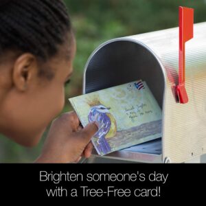 Tree-Free Greetings - Birthday Cards - Artful Designs - 8 Cards + Matching Envelopes - Made in USA - 100% Recycled Paper - 5"x7" - Lisa Morales Bird All Occasion,Thinking of You,Birthday (AGA1127)