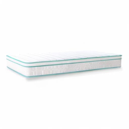 ZINUS 10 Inch Memory Foam Spring Hybrid Mattress, Queen, Euro Top Innerspring Mattress, Green Tea-Infused Foam, CertiPUR-US Certified, Mattress in A Box