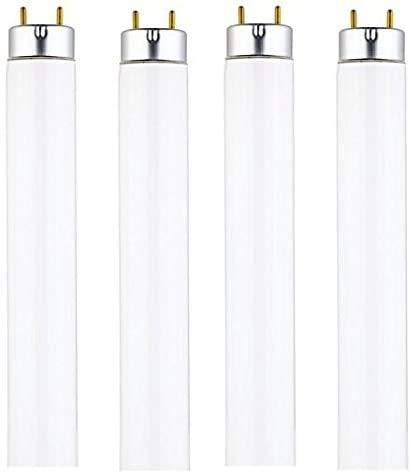 DYSMIO F32T8 32-Watt 48-inch Tube Light Bulb, 6500K, 2850 Lumen, Daylight, G13 Medium Bi-Pin Base T8 Fluorescent Light Bulb - Pack of 4