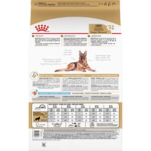 Royal Canin® Breed Health Nutrition German Shepherd Adult 5+ Dry Dog Food, 28 lb