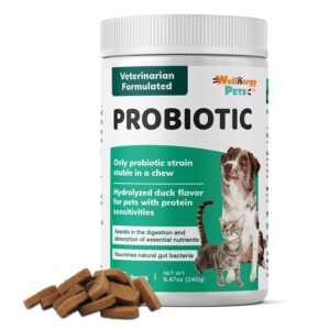 wellnergy daily probiotic & prebiotics soft chew for dogs & cats - digestive support for diarrhea, constipation, upset stomach, indigestion & gas - helps digestion, allergy skin & immune health 160ct