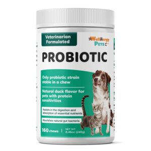 Wellnergy Daily Probiotic & Prebiotics Soft Chew for Dogs & Cats - Digestive Support for Diarrhea, Constipation, Upset Stomach, Indigestion & Gas - Helps Digestion, Allergy Skin & Immune Health 160ct