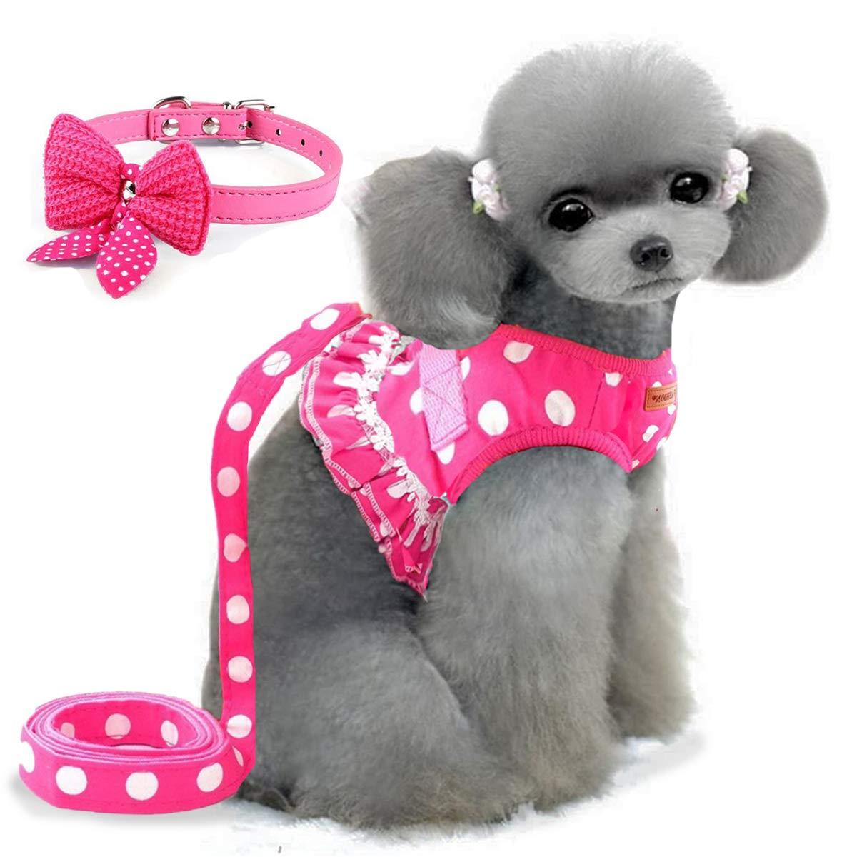 BARKLESS Cute Small Dog Harness, Ladies Polka Dots Dog Vest Harness Set with Pink Leash and Bowknot Collar, 3 in 1 Girl Style Vest Harness Set for Puppy and Cat (XL, Pink)