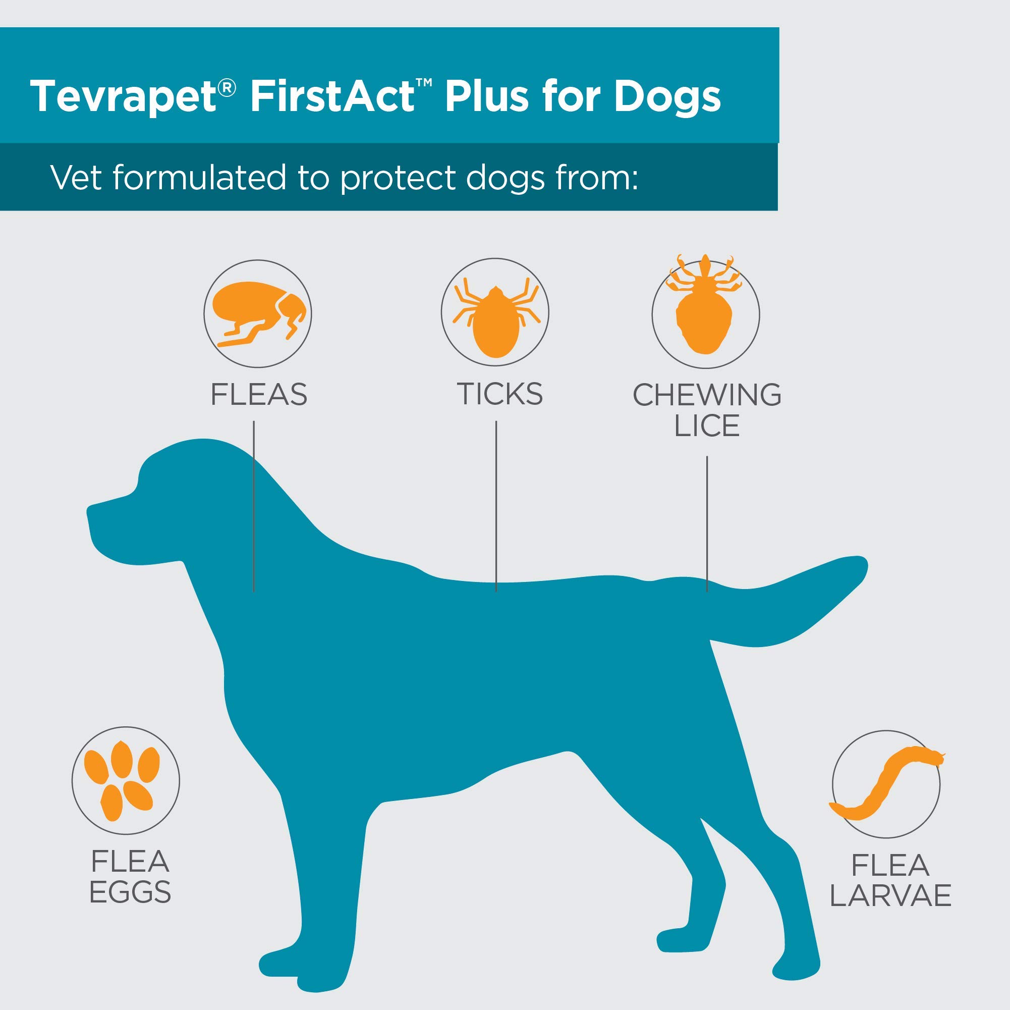 FirstAct Plus Flea Treatment for Dogs, Extra Large Dogs 89+ lbs, 6 Doses, Same Active Ingredients as Frontline Plus Flea and Tick Prevention for Dogs