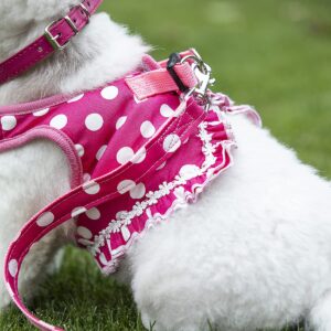 BARKLESS Cute Small Dog Harness, Ladies Polka Dots Dog Vest Harness Set with Pink Leash and Bowknot Collar, 3 in 1 Girl Style Vest Harness Set for Puppy and Cat (XL, Pink)