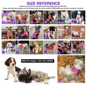 BARKLESS Cute Small Dog Harness, Ladies Polka Dots Dog Vest Harness Set with Pink Leash and Bowknot Collar, 3 in 1 Girl Style Vest Harness Set for Puppy and Cat (XL, Pink)