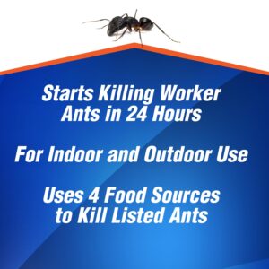 Homeplus™ Ant Killer AB, Metal Ant Bait, Ants Killer for House, Ant Traps Indoor & Outdoor, Case Pack, 48 Bait Stations