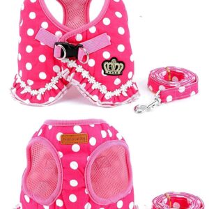 BARKLESS Cute Small Dog Harness, Ladies Polka Dots Dog Vest Harness Set with Pink Leash and Bowknot Collar, 3 in 1 Girl Style Vest Harness Set for Puppy and Cat (XL, Pink)