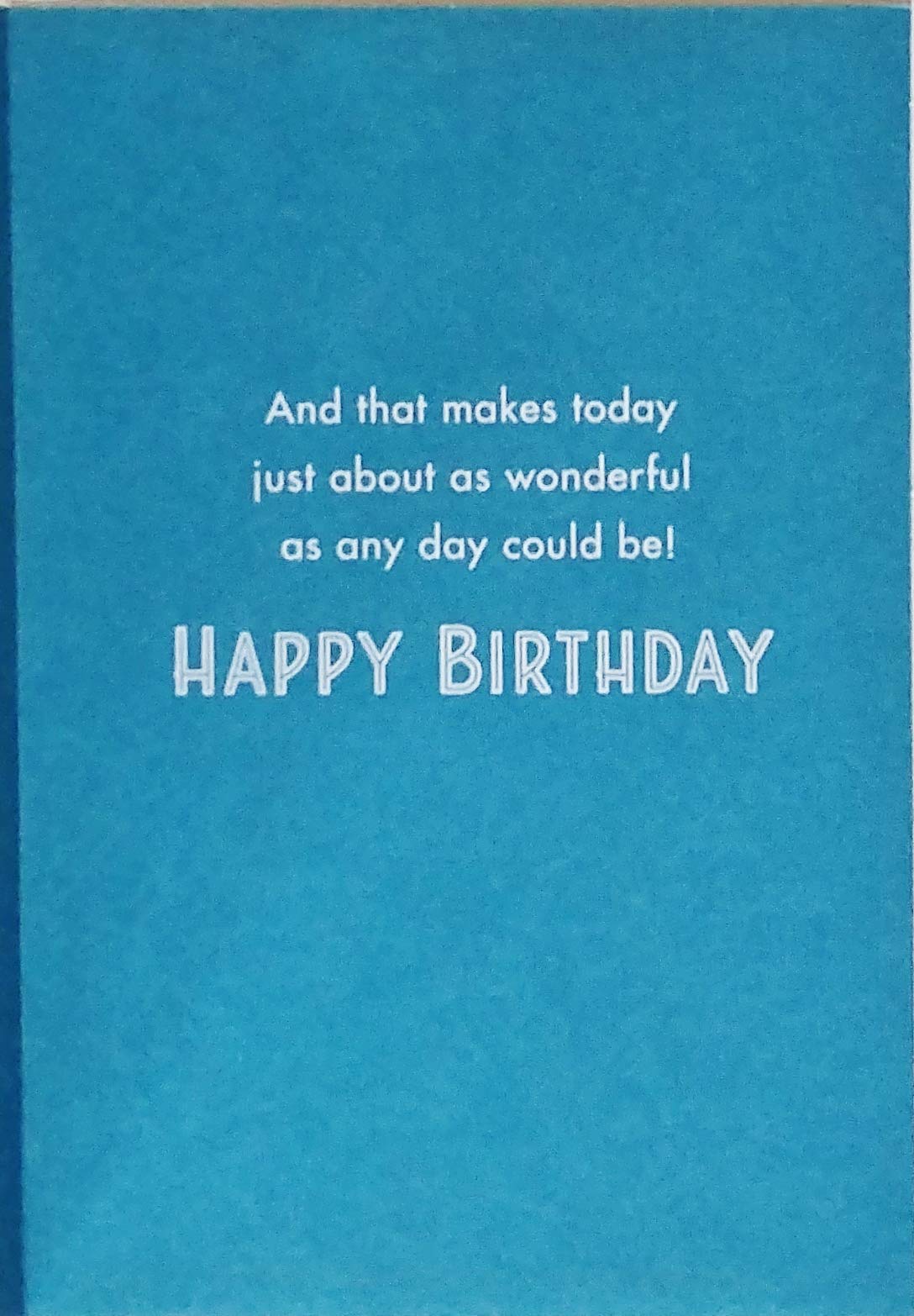 Greeting Card Son-in-Law - It's Not Just Any Day, You're Not Just Anybody - Happy Birthday