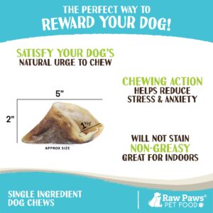 Raw Paws Cow Hooves for Dogs, 10-Pack - All-Natural Beef Hooves Made from Free-Range, Grass-Fed Cattle - Safe Rawhide Alternative - Dog Cow Hooves XL - Long-Lasting Cow Hoof Dog Chews