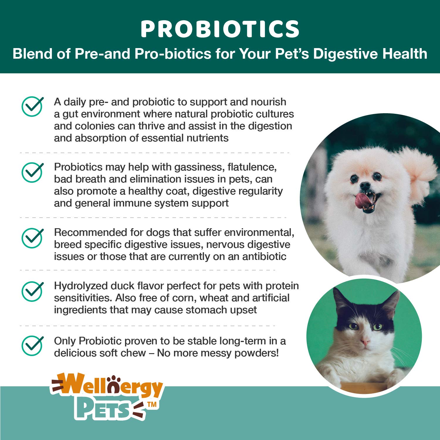 Wellnergy Daily Probiotic & Prebiotics Soft Chew for Dogs & Cats - Digestive Support for Diarrhea, Constipation, Upset Stomach, Indigestion & Gas - Helps Digestion, Allergy Skin & Immune Health 160ct