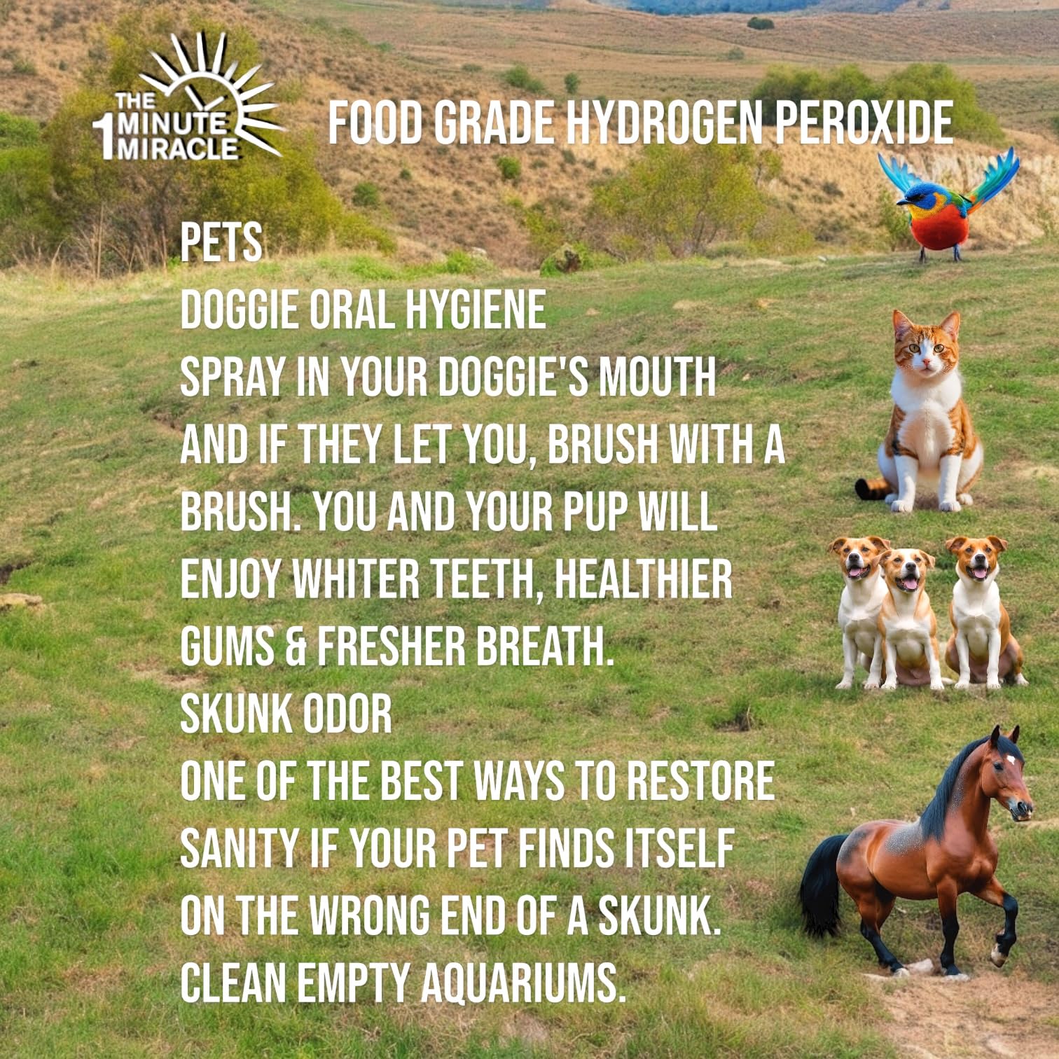 3% Food Grade Hydrogen Peroxide - 16 oz Bottle - 2 Droppers - Recommended by The One Minute Cure Book. The Choice by Professional, Alternative Medicine, and Homeopathic Communities.