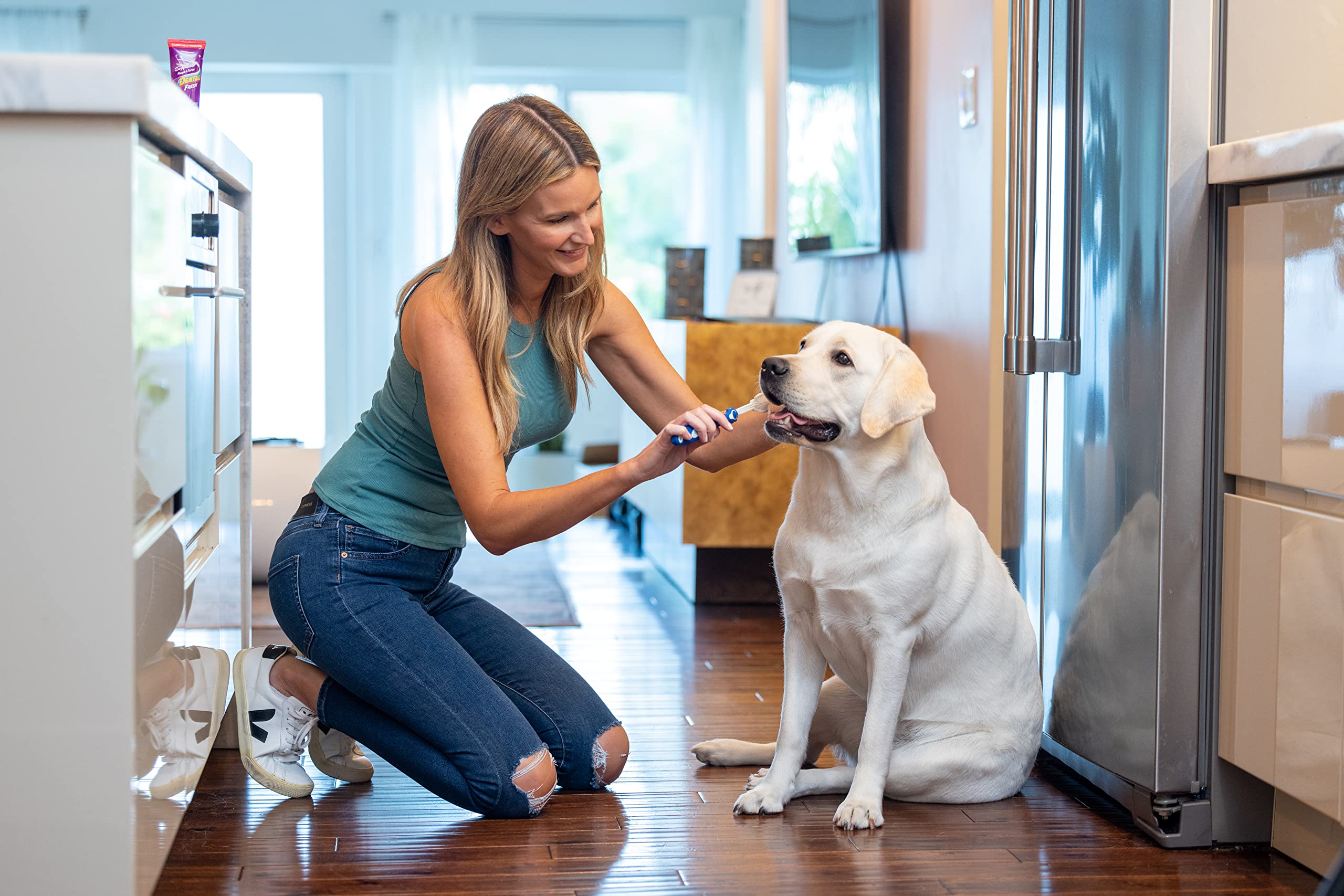 Dental Fresh Enzymatic Gel Dog Tooth Brushing Kit, Includes Triflex Toothbrush – Dog Toothbrush and Toothpaste for Dog Teeth Cleaning