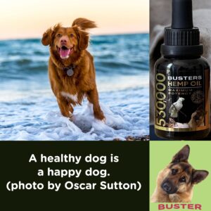 K2xLabs Buster's Organic Hemp Oil for Dogs and Pets, 530,000 Max Potency, Made in USA - Miracle Formula, Perfectly Balanced Omega 3, 6, 9 - Joint Relief, Calming