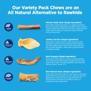 Barkworthies Healthy Dog Treats & Chews Large Dog Variety Pack (4 Chews) - Protein-Rich, Easily digestible, Rawhide Alternative - Great Gift for All Dogs