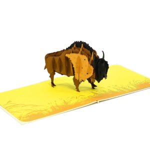 CUTPOPUP Birthday Card Pop Up, Fathers Day Card, 3D Greeting Card (Bison)