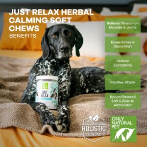 Only Natural Pet - Just Relax Herbal Calming Soft Chews for Dogs | Natural Anxiety Relief Treats, Premium Dog Relaxation Aid, Stress and Anxiety Relief Supplement - Bacon Flavor - 120 Soft Chews