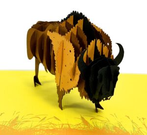 cutpopup birthday card pop up, fathers day card, 3d greeting card (bison)