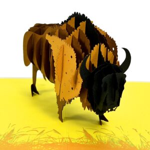 CUTPOPUP Birthday Card Pop Up, Fathers Day Card, 3D Greeting Card (Bison)