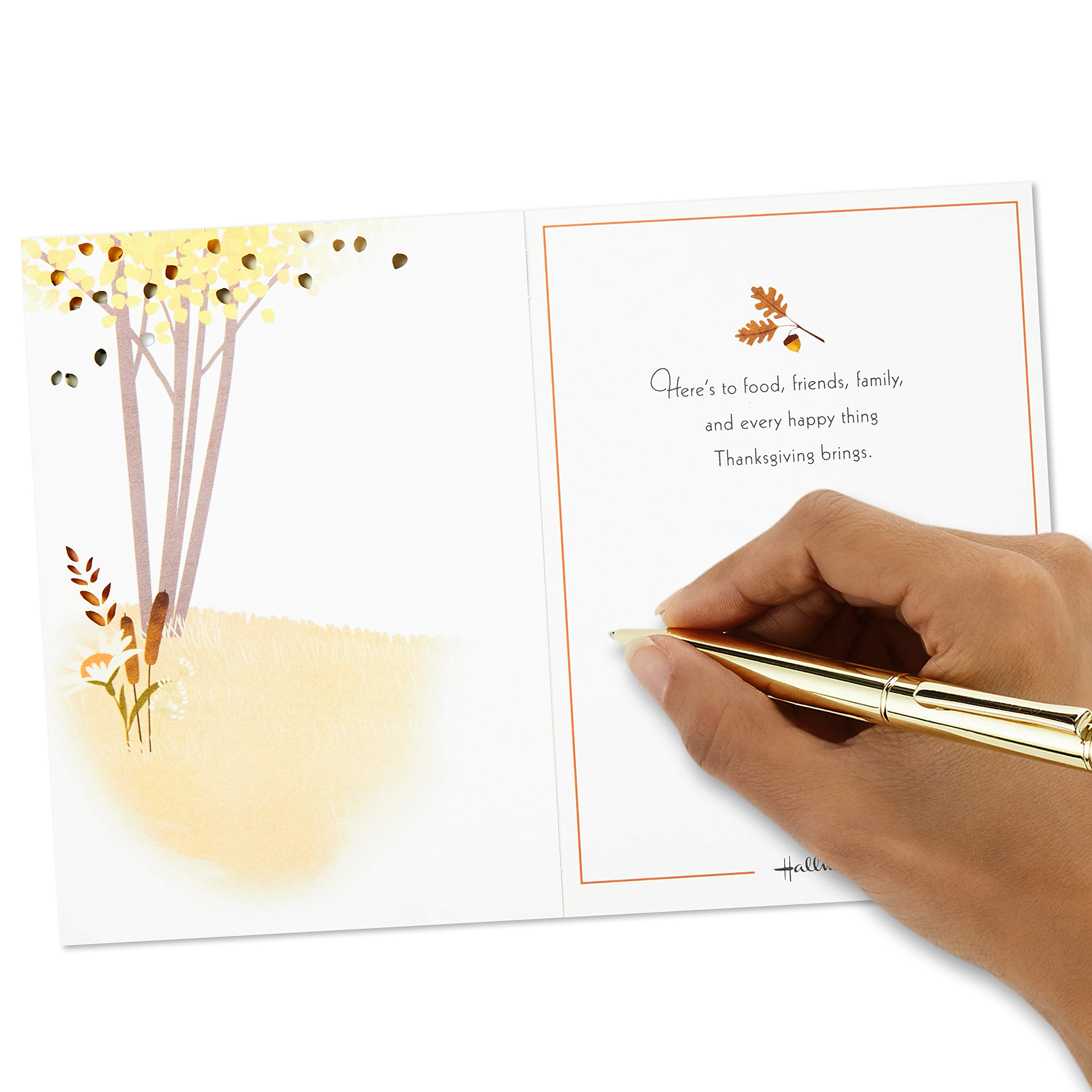 Hallmark Paper Wonder Displayable Pop Up Thanksgiving Card (Give Thanks)