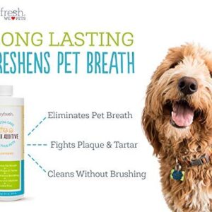 Oxyfresh Premium Pet Dental Care Solution Pet Water Additive: Best Way to Eliminate Bad Dog Breath and Cat Bad Breath - Fights Tartar & Plaque - So Easy, Just Add to Water! Vet Recommended 2 Pack