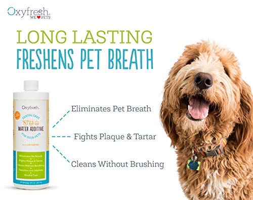 Oxyfresh Premium Pet Dental Care Solution Pet Water Additive: Best Way to Eliminate Bad Dog Breath and Cat Bad Breath - Fights Tartar & Plaque - So Easy, Just Add to Water! Vet Recommended 2 Pack