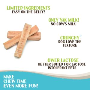 Raw Paws Himalayan Yak Chews for Dogs, Medium Chews (3-Count) - Himalayan Cheese for Medium Dogs - Yak Bones for Dogs - Yak Milk Bones for Dogs - Dog Cheese Chews Himalayan -Yak Chews for Medium Dogs