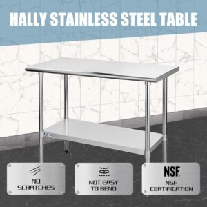 HALLY Stainless Steel Table for Prep & Work 24 x 48 Inches, NSF Commercial Heavy Duty Table with Undershelf and Galvanized Legs for Restaurant, Home and Hotel