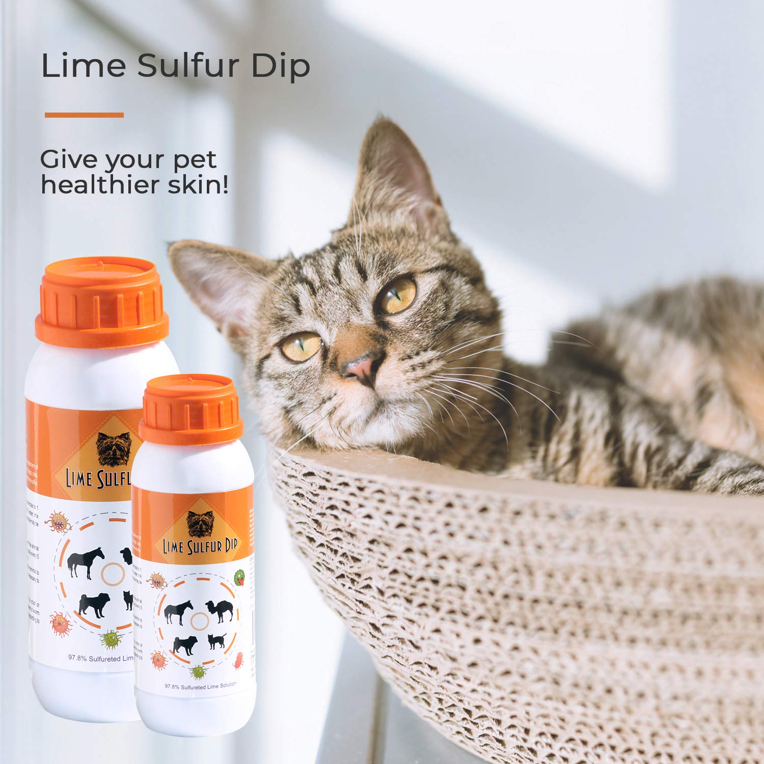 Classic's Lime Sulfur Dip - Pet Care for Itchy and Dry Skin - Xtra Strength Formula - Safe Solution for Dog, Cat, Puppy, Kitten, Horse (16 fl oz x 3 Bottles)