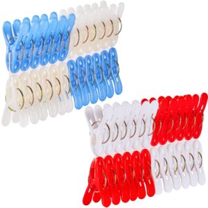 foshine clothes pins for crafts 48 pack clothes clips drying clothing clips colored laundry clips clothespins plastic pegs windproof clothespin photo paper pegs craft clips painting display