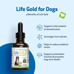 Pet Wellbeing More Mushrooms Kit for Dogs - Immune System Support and Antioxidant Protection - Vet-Formulated with Turkey Tail, Reishi, Maitake, Astragalus