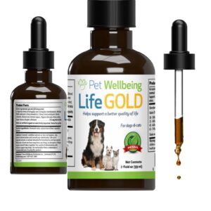 Pet Wellbeing More Mushrooms Kit for Dogs - Immune System Support and Antioxidant Protection - Vet-Formulated with Turkey Tail, Reishi, Maitake, Astragalus