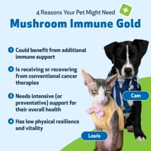 Pet Wellbeing More Mushrooms Kit for Dogs - Immune System Support and Antioxidant Protection - Vet-Formulated with Turkey Tail, Reishi, Maitake, Astragalus