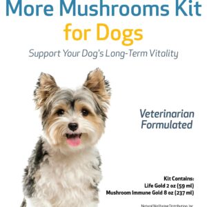 Pet Wellbeing More Mushrooms Kit for Dogs - Immune System Support and Antioxidant Protection - Vet-Formulated with Turkey Tail, Reishi, Maitake, Astragalus