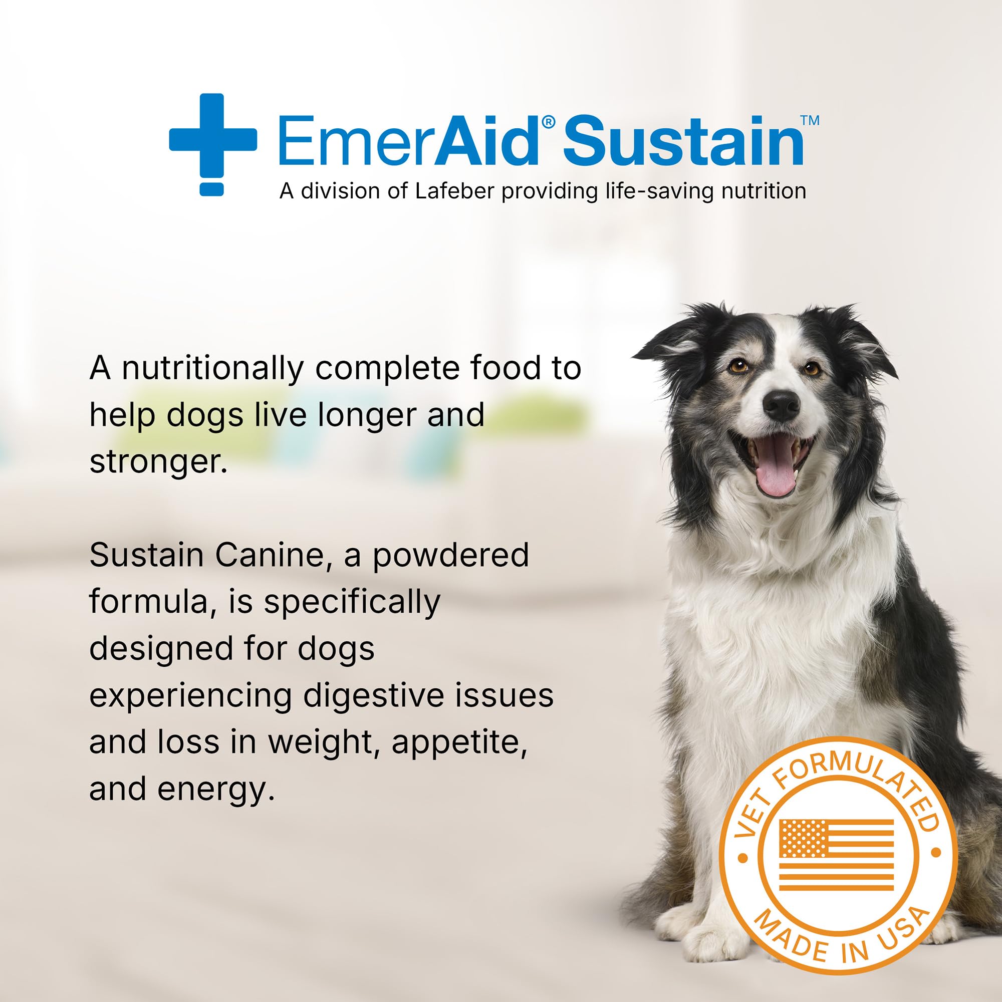 EMERAID Sustain Canine Recovery Food for Dogs 400 g