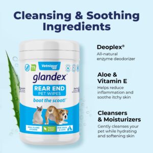 Glandex Beef Liver Anal Gland Support Powder 4oz & Glandex Anal Gland Hygienic Pet Wipes 75ct Bundle, Anal Gland Powder for Dogs with Pumpkin & Fiber, Scented Dog Cleaning Wipes for Anal Glands