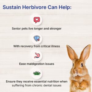 EMERAID Sustain Herbivore Mint Recovery Food for Herbivores 400 g