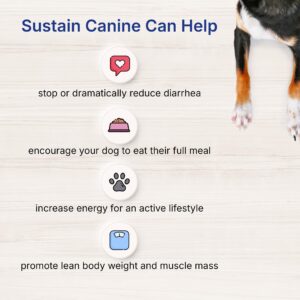 EMERAID Sustain Canine Recovery Food for Dogs 400 g