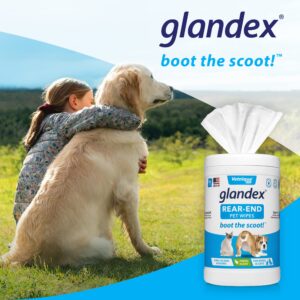 Vetnique Glandex for Dogs 60ct Peanut Butter Anal Gland Support Chews and Glandex Pet Wipes 75ct Bundle