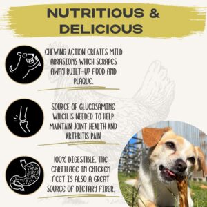 JACK'S PREMIUM Dehydrated Chicken Feet for Dogs- All Natural Dental Dog Chews Single Ingredient Chicken Treat Made in The USA (Chicken, 45 Count)