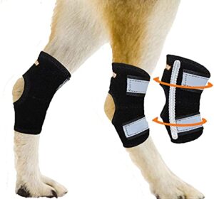 neoally super supportive dog braces for rear leg and hock joint with dual metal spring strips stabilize canine hind legs from wound, injury, sprains, arthritis (xl pair)