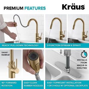 KRAUS Oletto Pull-Down Kitchen Faucet and Purita Water Filter Faucet Combo in Brushed Brass, KPF-2620-FF-100BB