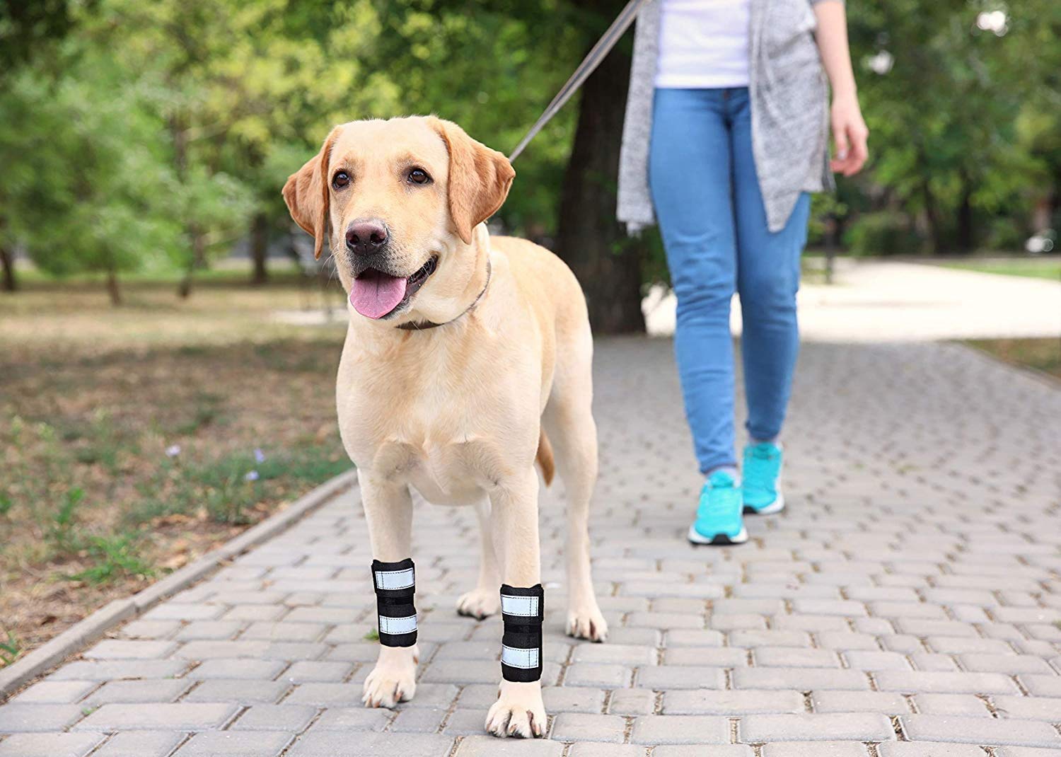 NeoAlly Dog Canine Front Leg Compression Braces Super Supportive with Metal Spring Strips to Stabilize Dog Front Leg Wrist Carpal, Prevents Leg Injuries & Sprains (S/M Pair)