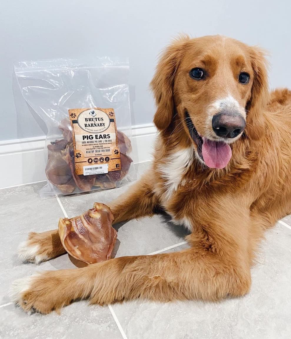 100% Natural Half Pig Ear Dog Treat, 15 pack, Our Healthy Dog Pig Ears Halves Are Easy To Digest, Chemical & Hormone Free Thick Cut Pig Ears For Dogs Aggressive Chewers, Great For Small Or Large Dogs