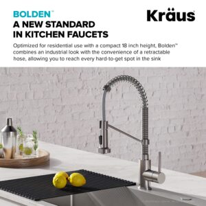 KRAUS Bolden Commercial Style Pull-Down Kitchen Faucet and Purita Water Filter Faucet Combo in Chrome, KPF-1610-FF-100CH