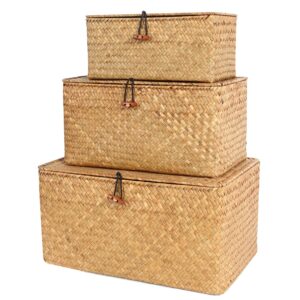 feilanduo wicker shelf baskets with lids, seagrass storage baskets bins rectangular woven baskets boxes for organizing home decor set of 3