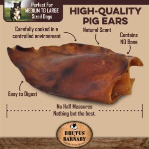 100% Natural Half Pig Ear Dog Treat, 15 pack, Our Healthy Dog Pig Ears Halves Are Easy To Digest, Chemical & Hormone Free Thick Cut Pig Ears For Dogs Aggressive Chewers, Great For Small Or Large Dogs