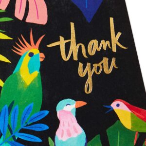 Hallmark Thank You Cards Assortment, Tropical Animals (24 Assorted Thank You Notes with Envelopes—Cheetahs, Llamas, Zebras, Flamingos, Birds)